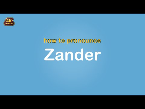 how to pronounce Zander 【Name】