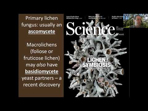 Lichens – Jesse E. D. Miller