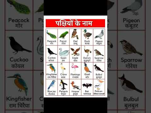20 पक्षियों के नाम हिंदी और इंग्लिश में | 50 Birds Name in Hindi and English #पक्षियों #birdsname