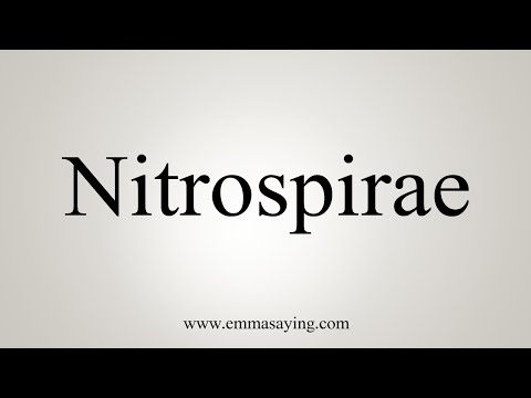 How To Say Nitrospirae