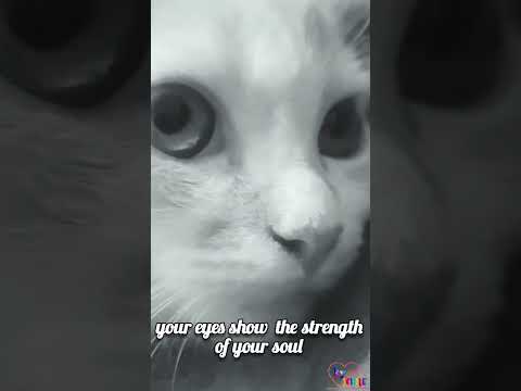 What your eyes say opening a minute?👁️👁️eye's silent speech💬shorts