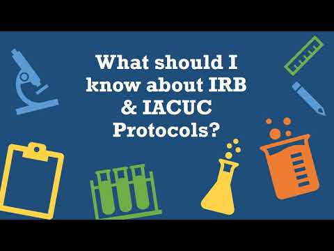 Reviewing IRB and IACUC