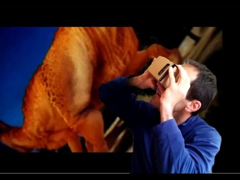 cardboard apps that work without gyroscope