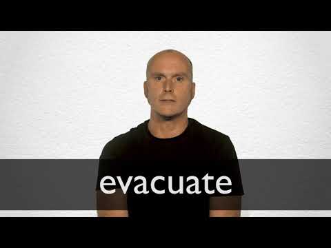 EVACUATE definition in American English | Collins English Dictionary