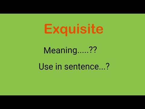 Exquisite meaning in urdu | Exquisite ka urdu m kia mtlab hta hai|Exquisite with sentence example