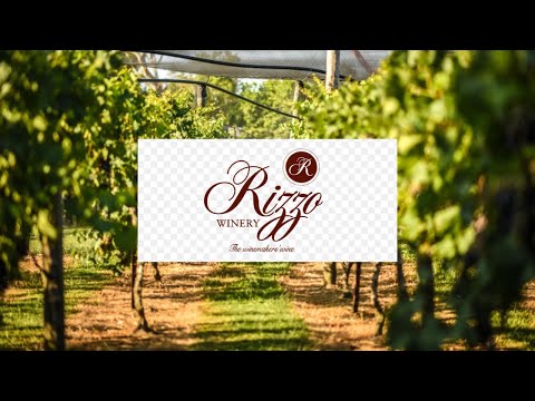 Budget Friendly Wine Tasting in Oregon! 🍷🍷 *Rizzo Winery*