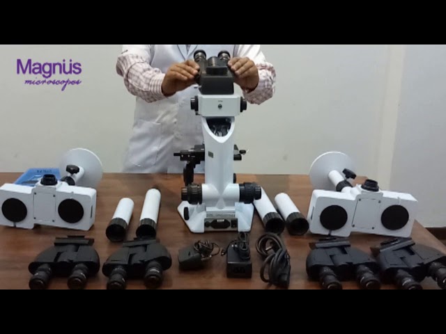 Multi Head Teaching Microscope With LED - Penta Head Microscope, MLXi ...