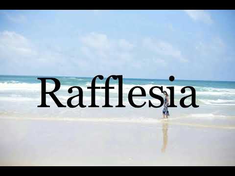 How To Pronounce Rafflesia🌈🌈🌈🌈🌈🌈Pronunciation Of Rafflesia