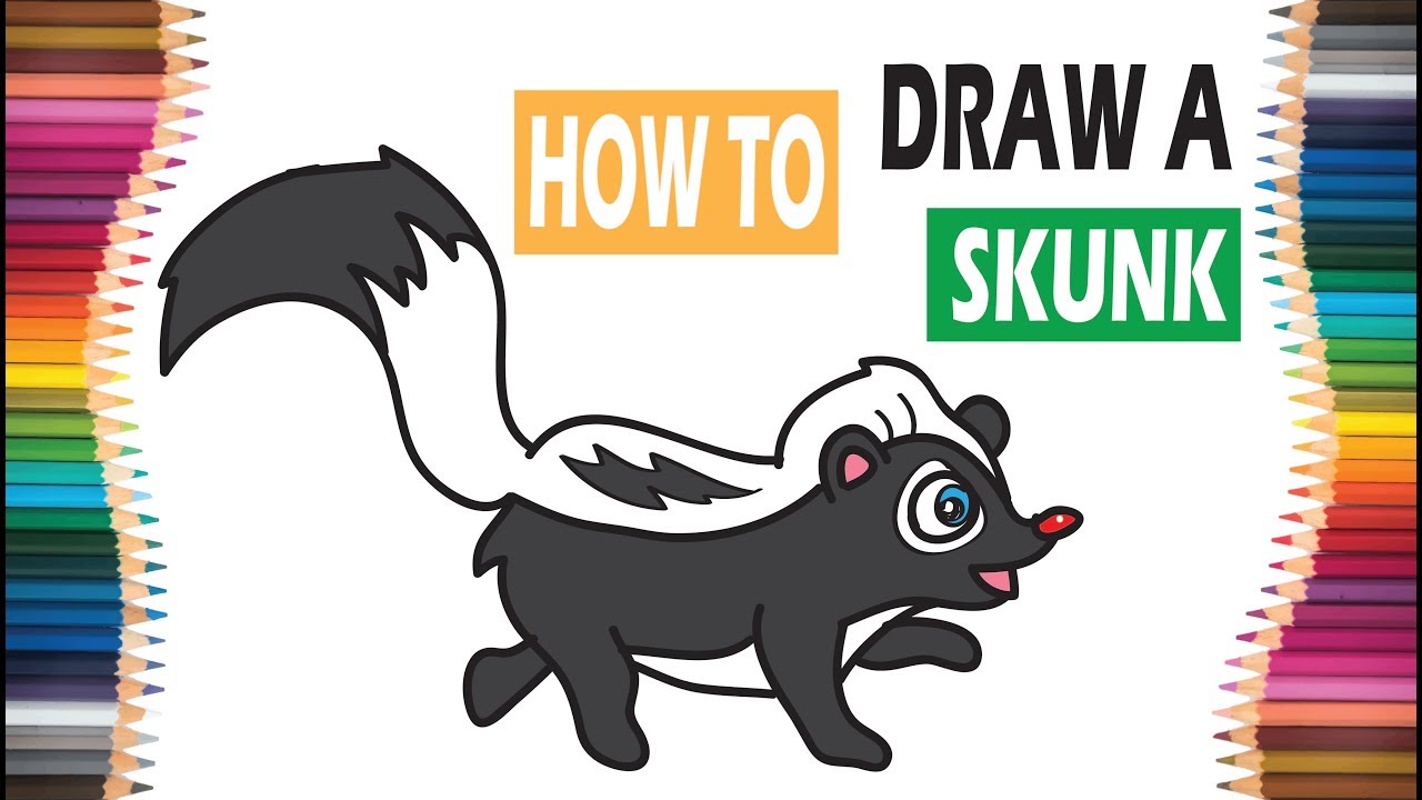 Drawing a SKUNK for kids [Animal] drawing animals | learn english | kids videos | kids can draw 😄❤️