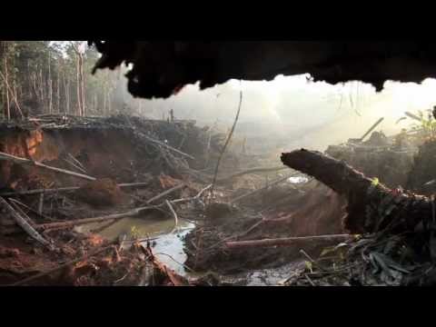 Amazon Gold, a documentary from the Amazon Aid Foundation | A jungle ...
