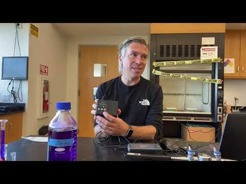 Crystal Violet Rate Law Lab Explained