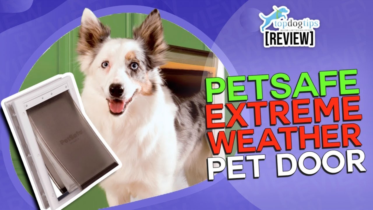 Review: PetSafe Extreme Weather Pet Door