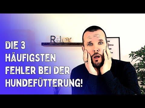 Hundefütterung - Welche 3 Fehler Du beim Füttern Deines Hundes nicht machen solltest.