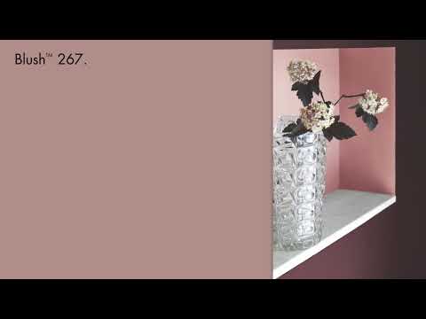Using 'Blush' (267)