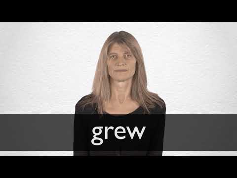 How to pronounce GREW in British English