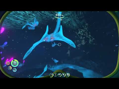 Steam Community :: Video :: Subnautica - The Ancient Cove Tree