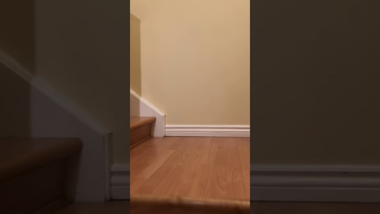 Strathcona Townhome - Amazing Edmonton Location