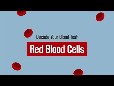 Decode Your Blood Test: Red Blood Cells 💉 | Merck Manual Consumer Version