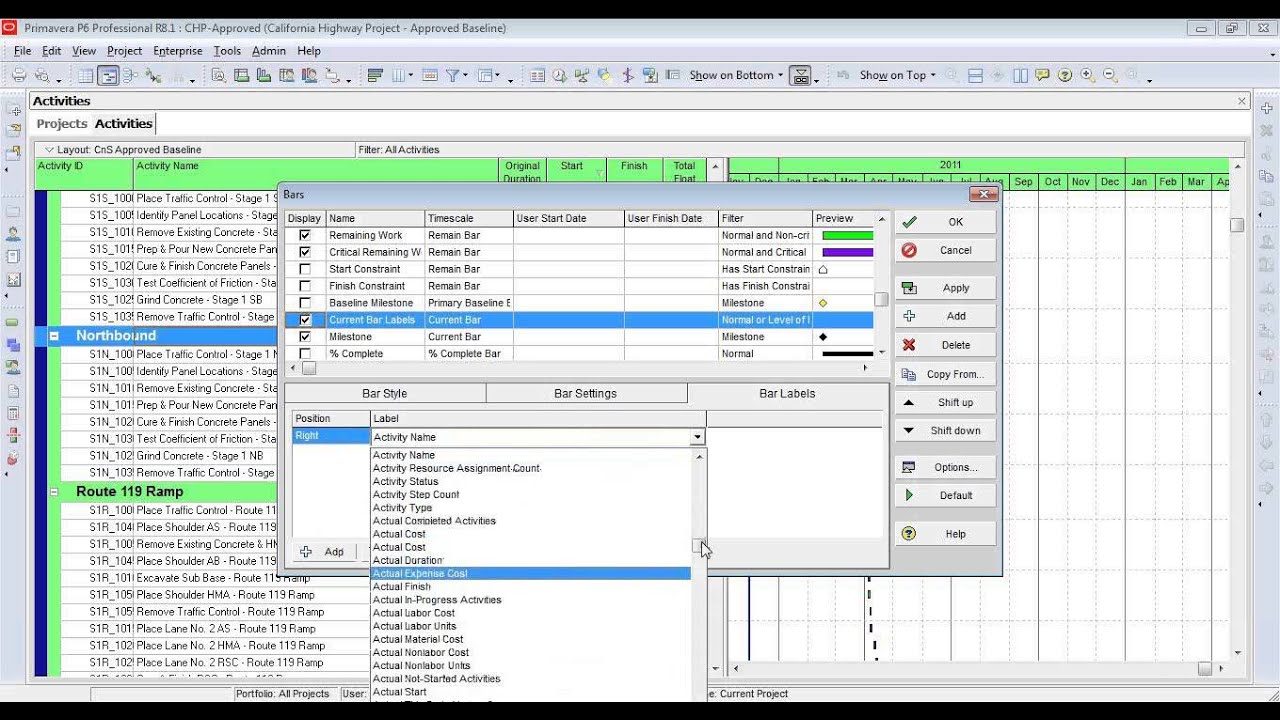 Primavera P6: Notebook Topics