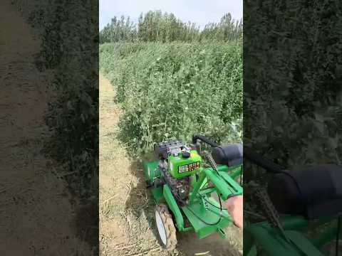 Amazing Farming Machine in Action 🚜💥 | JUST KD Agriculture | Part 156