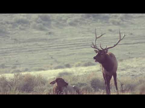 Colorado GMU Unit 2 Hunting Information