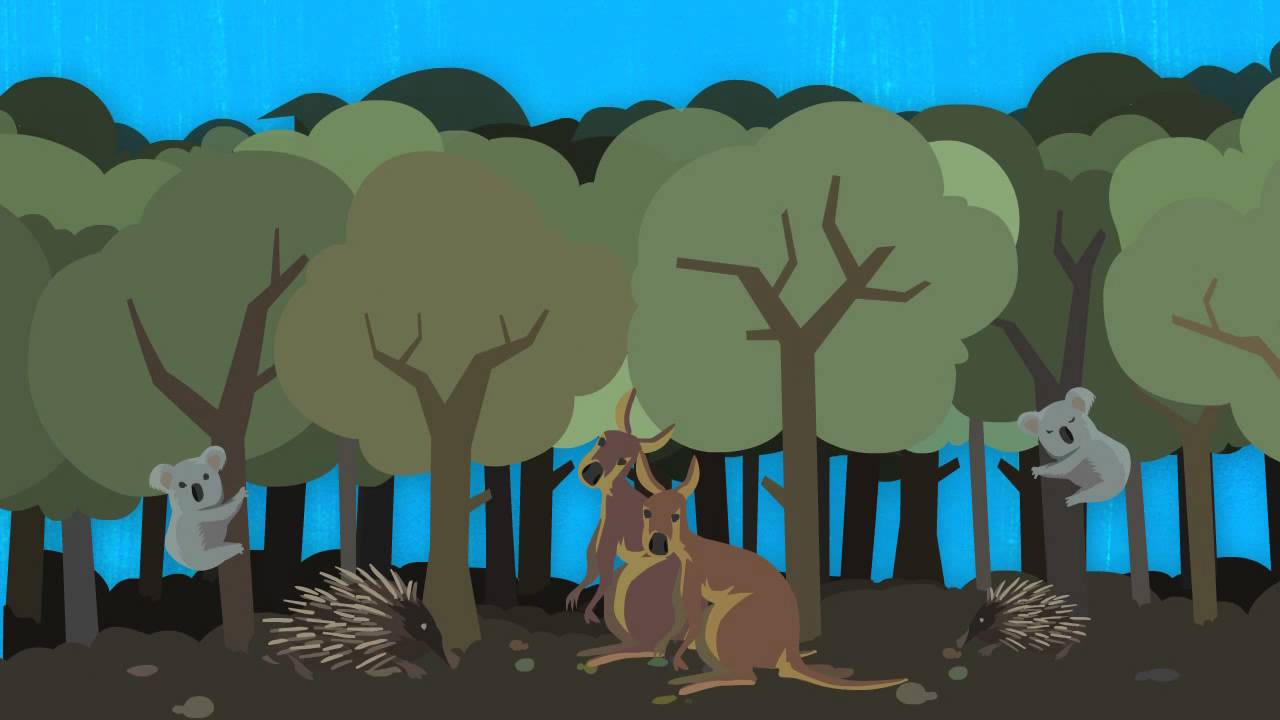 Carbon Neutral - Who we are and what we do