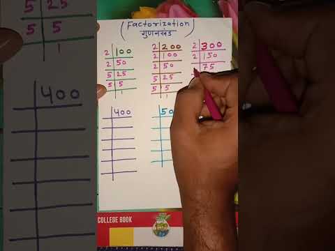 prime factors of 300