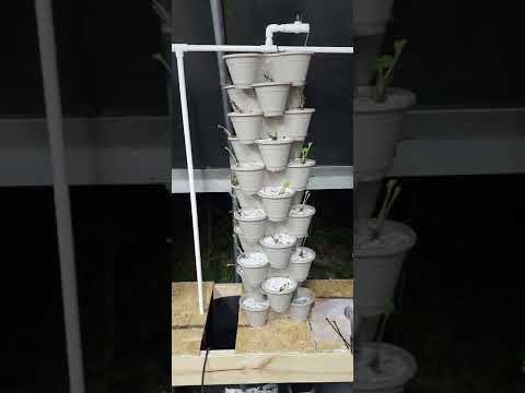 Dollar tree new and improved DIY dollar tree hydroponic strawberry towers