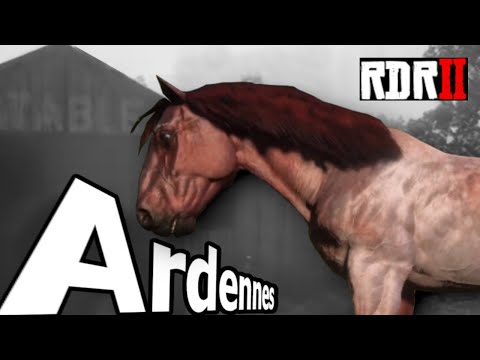 RDR2 ARDENNES HORSE | Location, Coats, Stats, & More