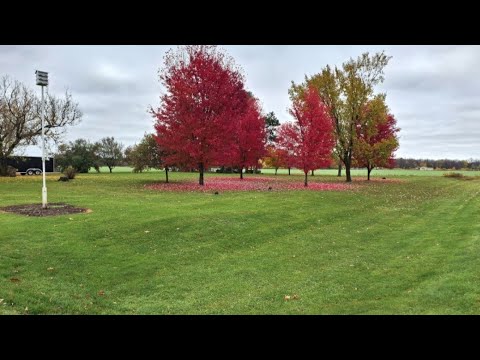 WISCONSIN | Estados Unidos | L a Vida Del Campo