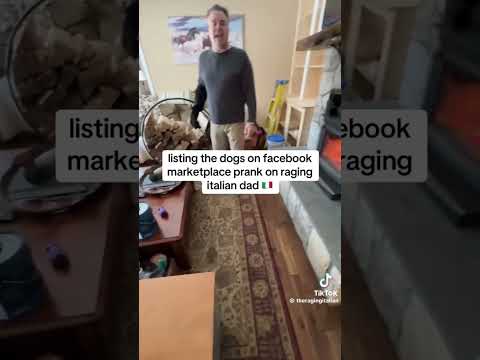 Listing the dogs on Facebook marketplace prank on raging Italian dad