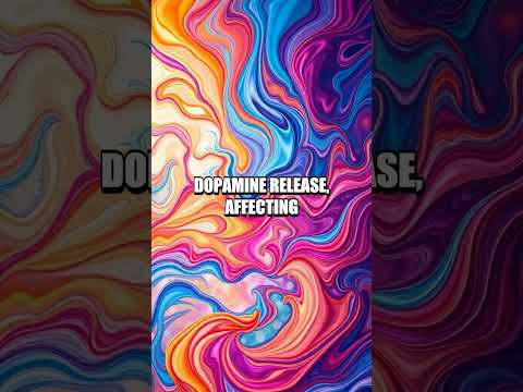 The Brain's Dopamine Pathways