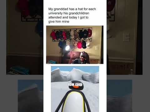 Granddad has a hat for each university his grandchildren attended #shorts #memes #unitedstates