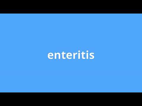 what is the meaning of enteritis