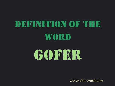 Definition of the word "Gofer"