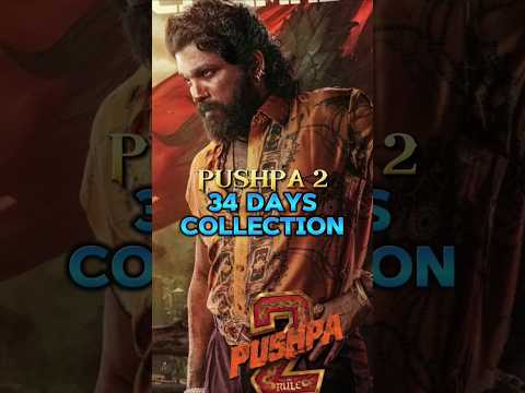 Pushpa 2 34 DAYS COLLECTION || Box office collection #shorts @StarNetMovies