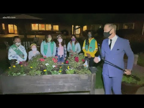 Local Girl Scout troop's sensory gardening project helps seniors in assisted living home
