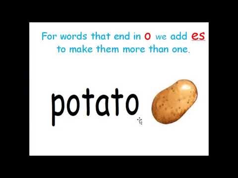 Singular and plural - adding 'es' to words ending in 'o'