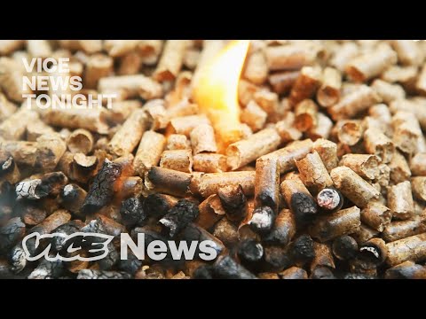 America’s Trees Are Being Burned for Fuel Overseas