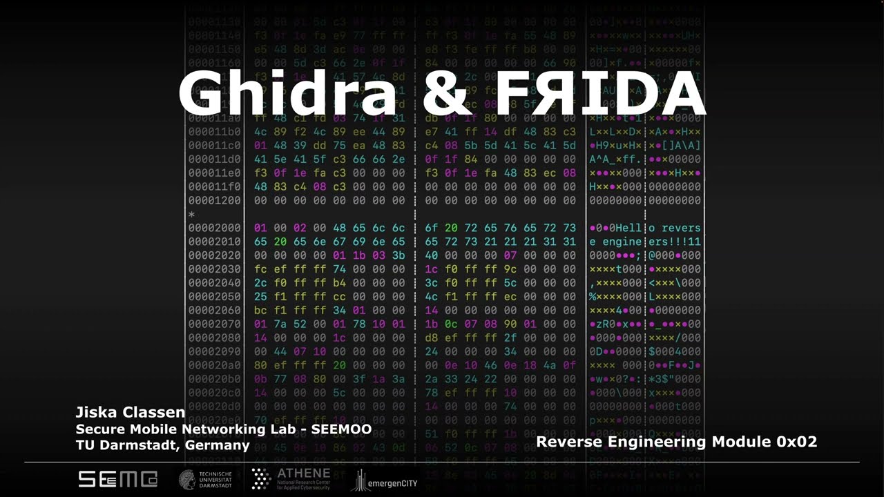 Reverse Engineering Lab - Module 0x2: Ghidra & Frida