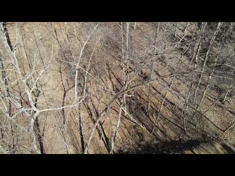 Yates Circle, Lot #460, Clarkesville, GA 30523