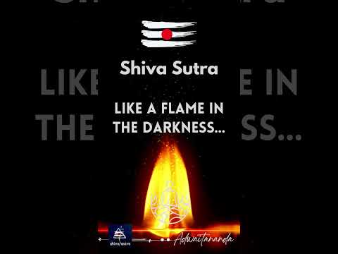 Shiva Sutra Reel #6 | Meditational Quotes