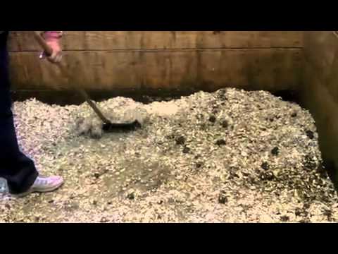 How to muck a stall