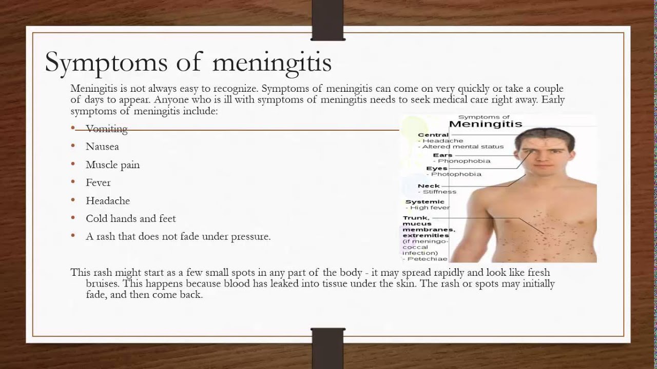 Meningitis Powerpoint