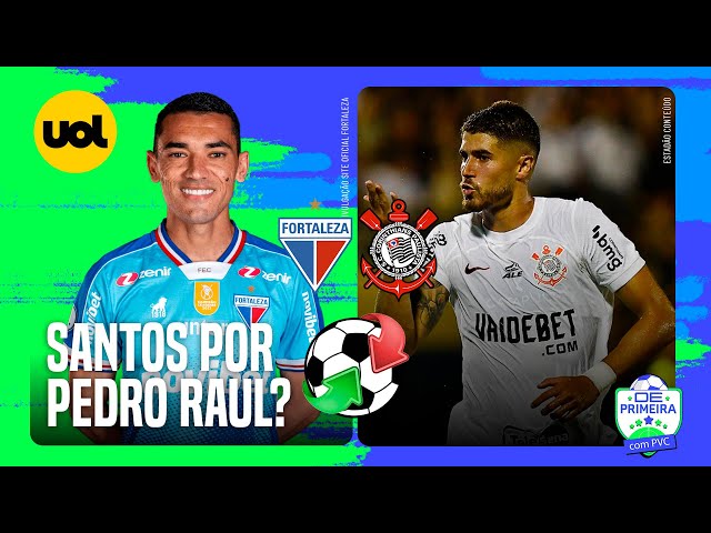 Corinthians avalia troca de Pedro Raul pelo goleiro Santos, diz Samir
