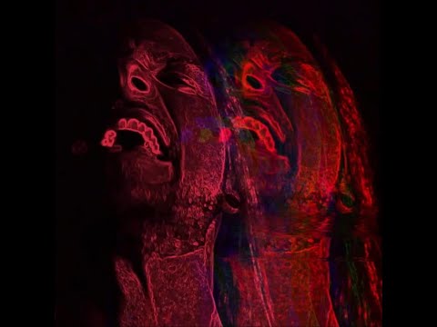 HELL MACHINE – Relentless Aggression – THRONE OF ABSENCE