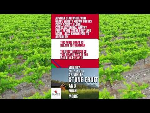 How to Pronounce Grüner Veltliner #howtopronounce #austria #grunerveltliner