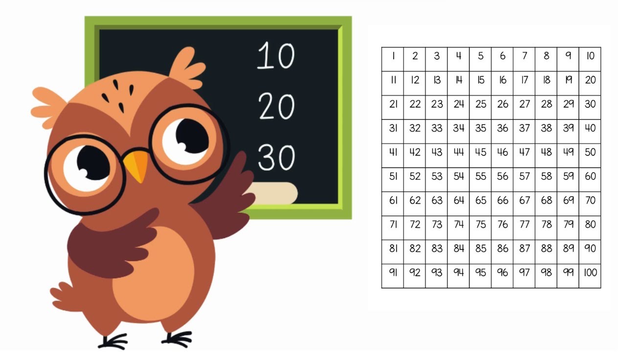 Patterns on the Hundreds Chart | 1st Grade Math Minilesson