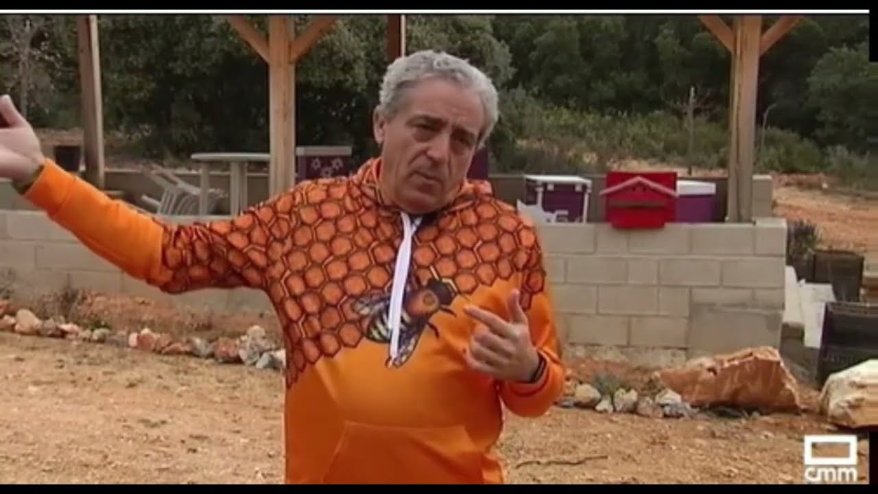 En Profundidad: Cómo afecta la sequía a la Apicultura - Castilla La Mancha
