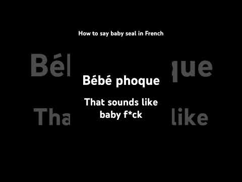How to say baby seal in French #shorts #words